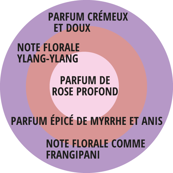 Flora Colonia | Kordes Rosen