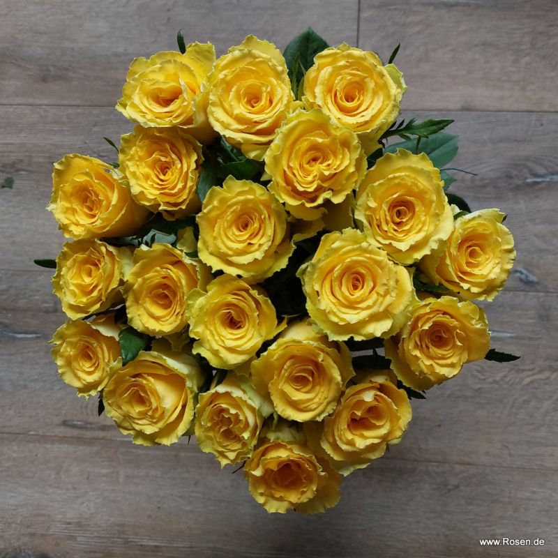 Schnittrosen | Kordes Rosen