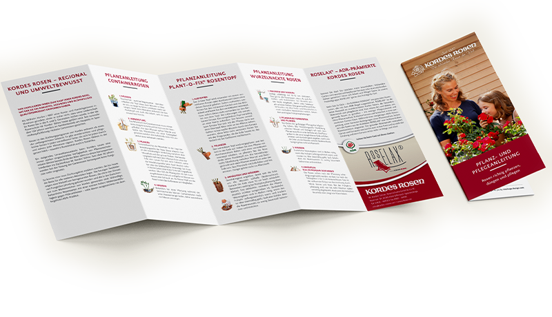 PDF-Download | Ihre Bestellung | Service | Kordes Rosen