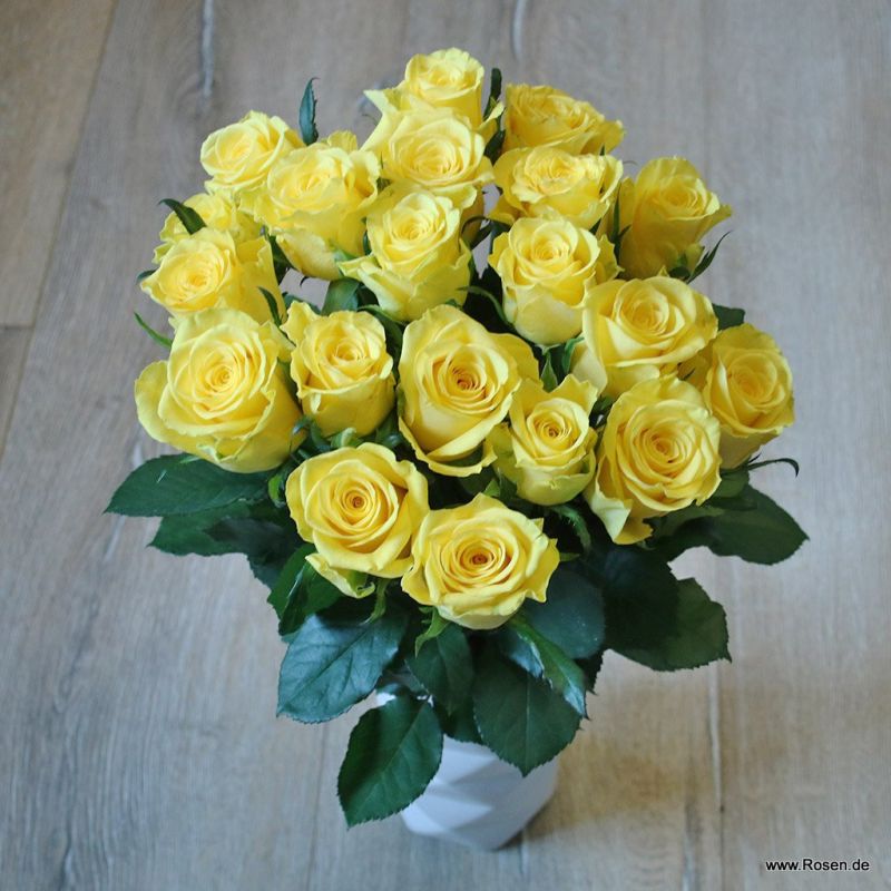 Schnittrosen | Kordes Rosen