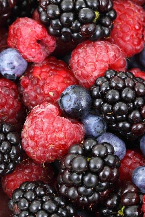 Beerenobst | Kordes Rosen