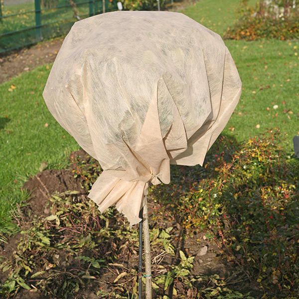 Winterschutz | Rund um Rosen | Service | Kordes Rosen